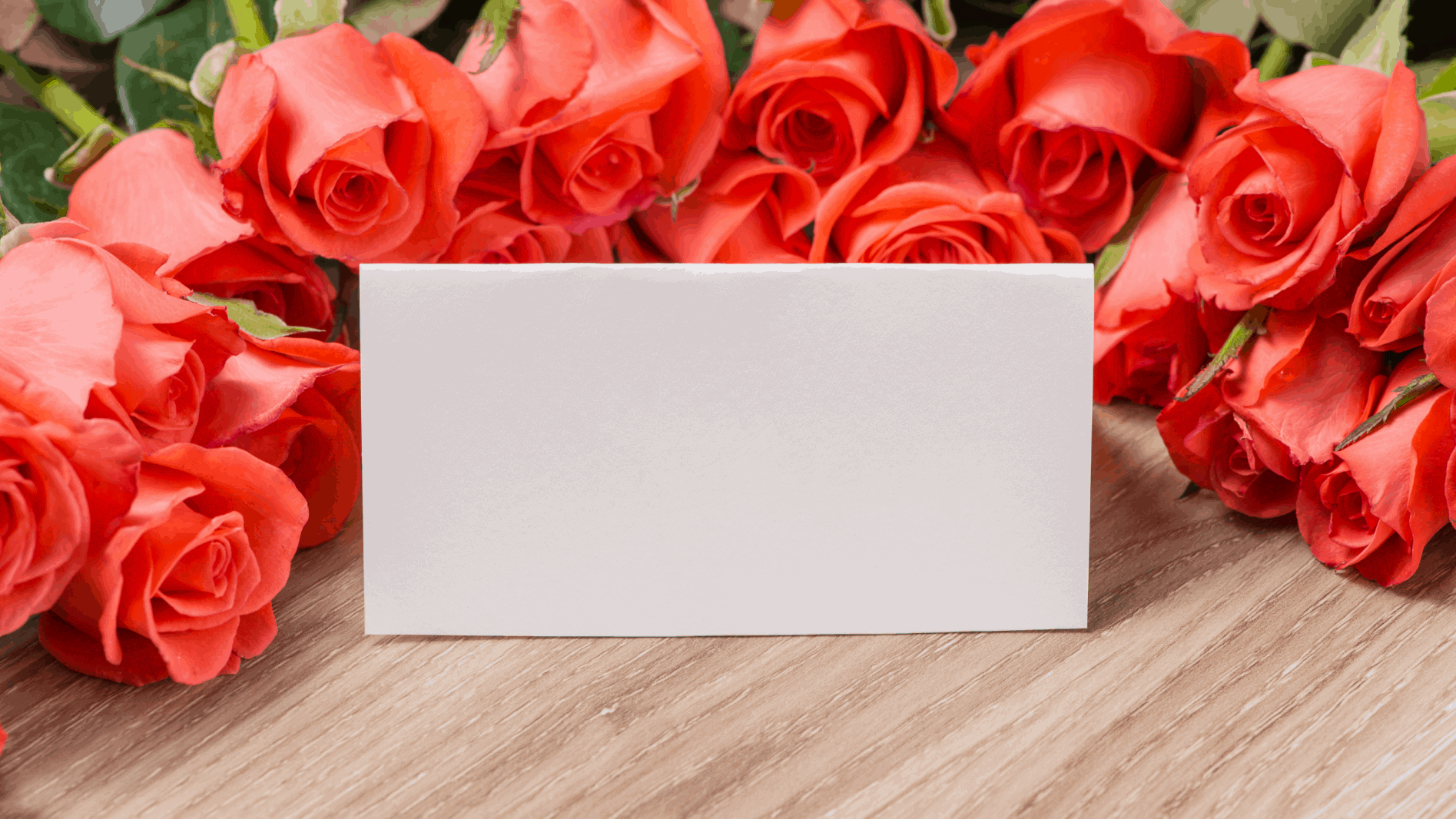 Christini's Fine Dining Orlando | Best Italian Restaurant Orlando ...